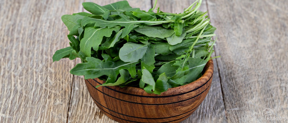 » Rokanın faydaları